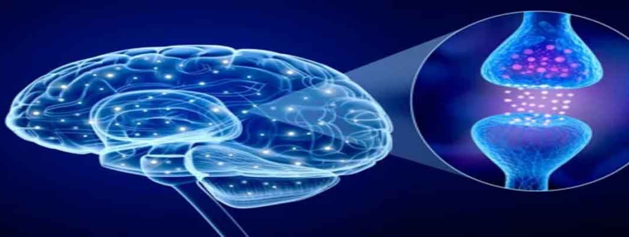 Breakthrough: CB1 Receptor Identified as Key Stress Regulator