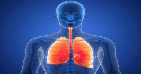 NMN for Lung Health: Multi Dimensional Protection